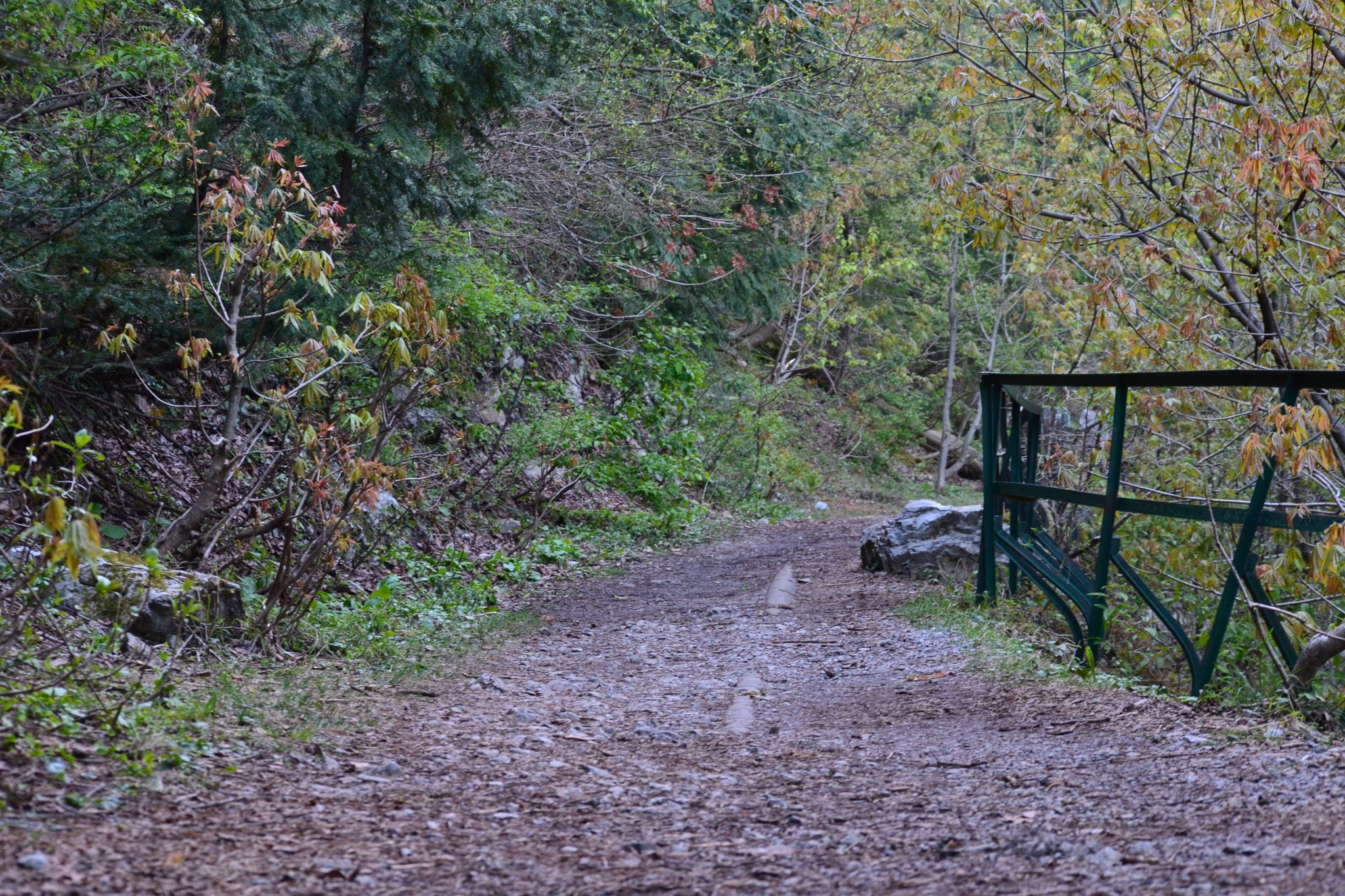 Galiyat Tours, Galiyat Tour Packages, Galiyat Trip Plans- Foreigners Tours